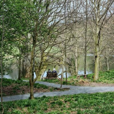 Fodder in the woods | Finnebrogue Woods