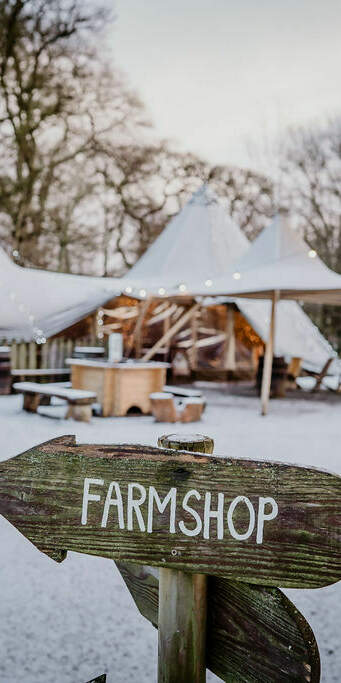 Fodder in the woods | Finnebrogue Woods