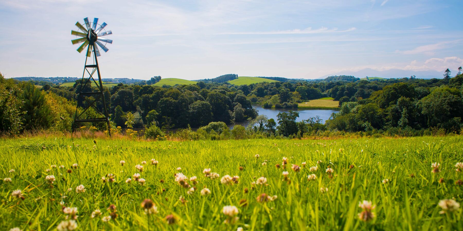 Our Story, history of the estate | Finnebrogue Woods